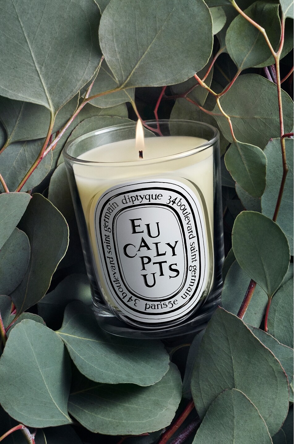 Eucalyptus scented candle - 190g - DIPTYQUE - Colourless - Bongénie
