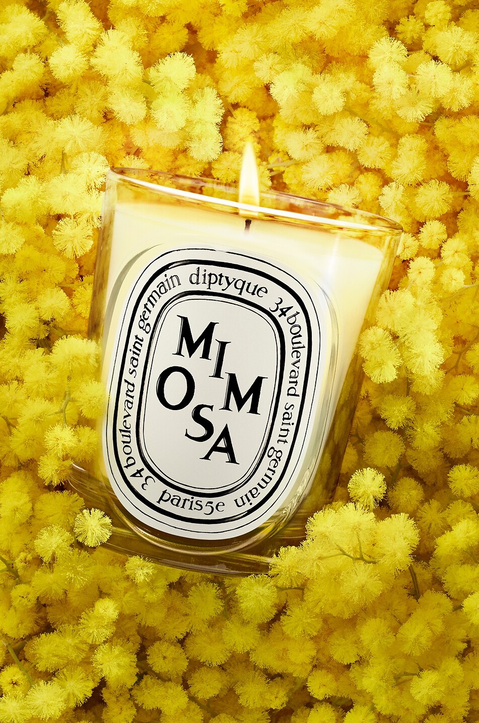 Mimosa scented candle - 190g - DIPTYQUE - Colourless - Bongénie
